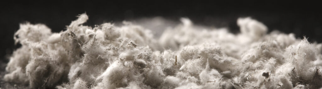 Asbestos in Plaster Walls: What to Know | Legal Blog